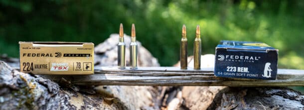 224 Valkyrie vs 223 Remington - Rifle Calibers Compared