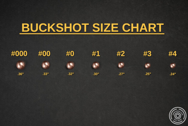 Shotgun Shot Size Chart: Shotgun Ammo Simplified - AmmoMan School of ...
