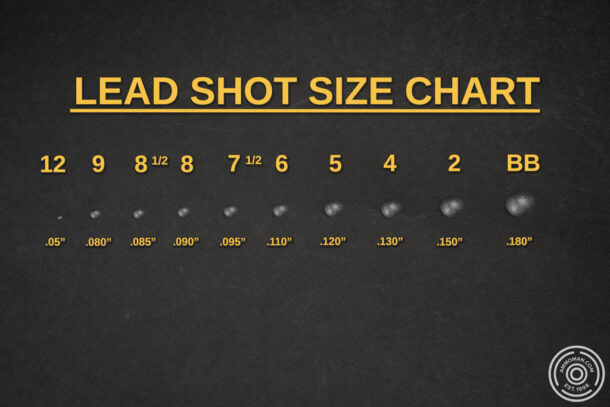 Shotgun Shot Size Chart: Shotgun Ammo Simplified - AmmoMan School of ...