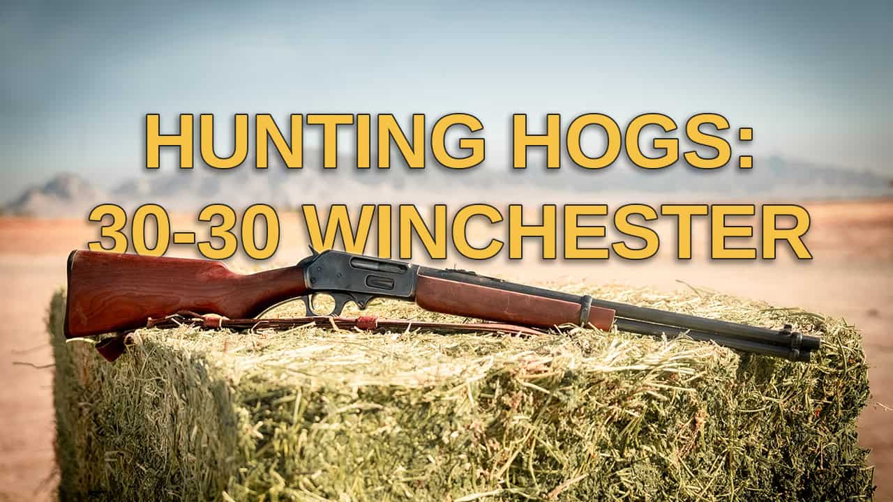 30-30 for Hunting Hogs - AmmoMan School of Guns Blog