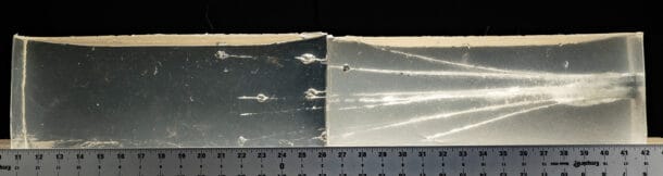 Birdshot For Home Defense? - AmmoMan School of Guns Blog