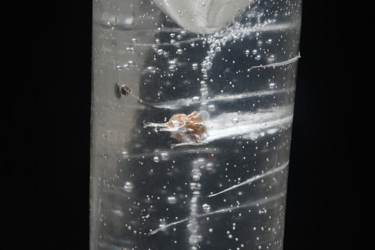 How Effective Is Snake Shot? Does It Work?