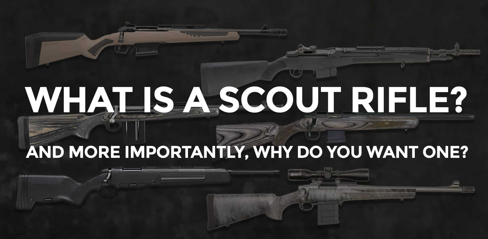 What is a Scout Rifle? AmmoMan.com School of Guns
